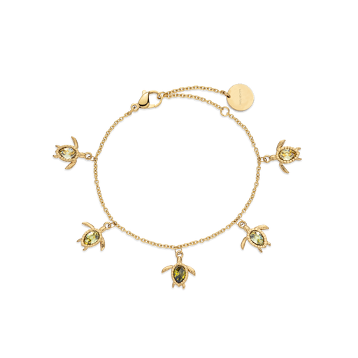 TURTLE – PAUL HEWITT