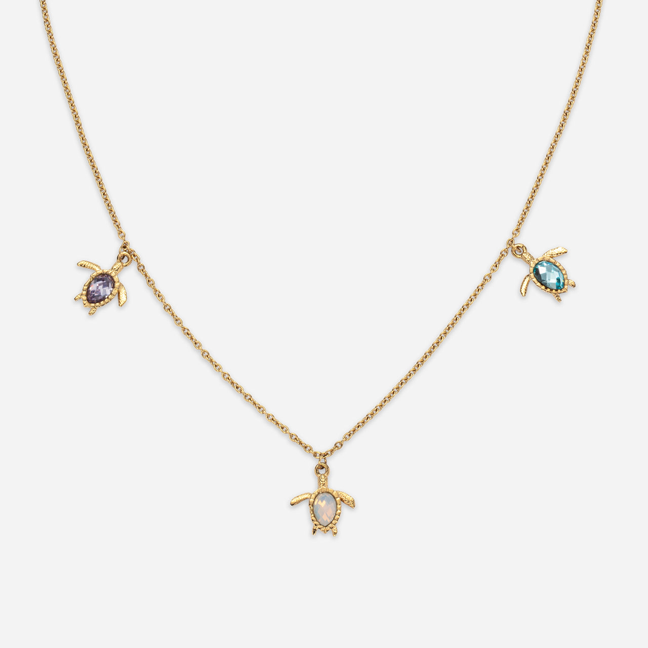 Turtle – PAUL HEWITT