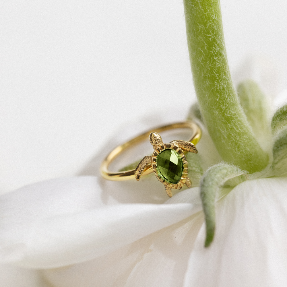 Ring Turtle » Gold – PAUL HEWITT