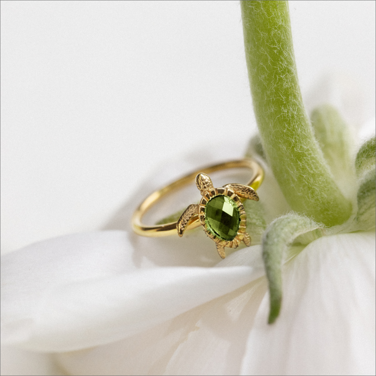 Ring Turtle » Gold – PAUL HEWITT