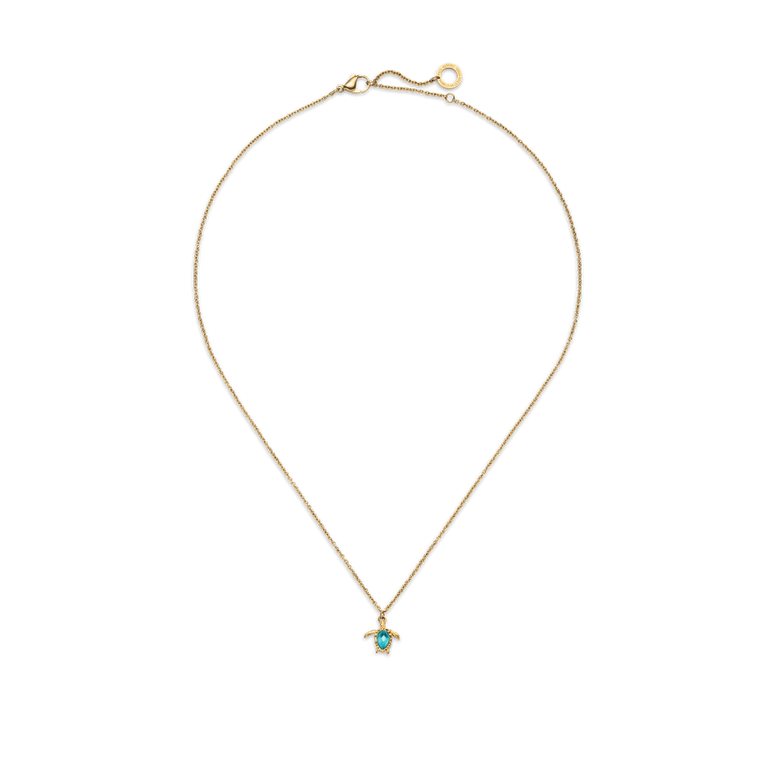 Turtle – Paul Hewitt