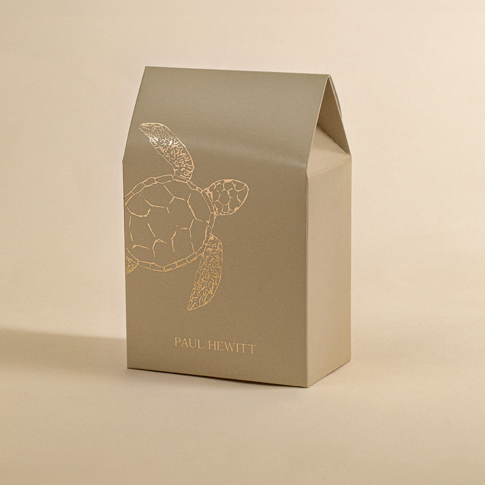 Turtle – PAUL HEWITT